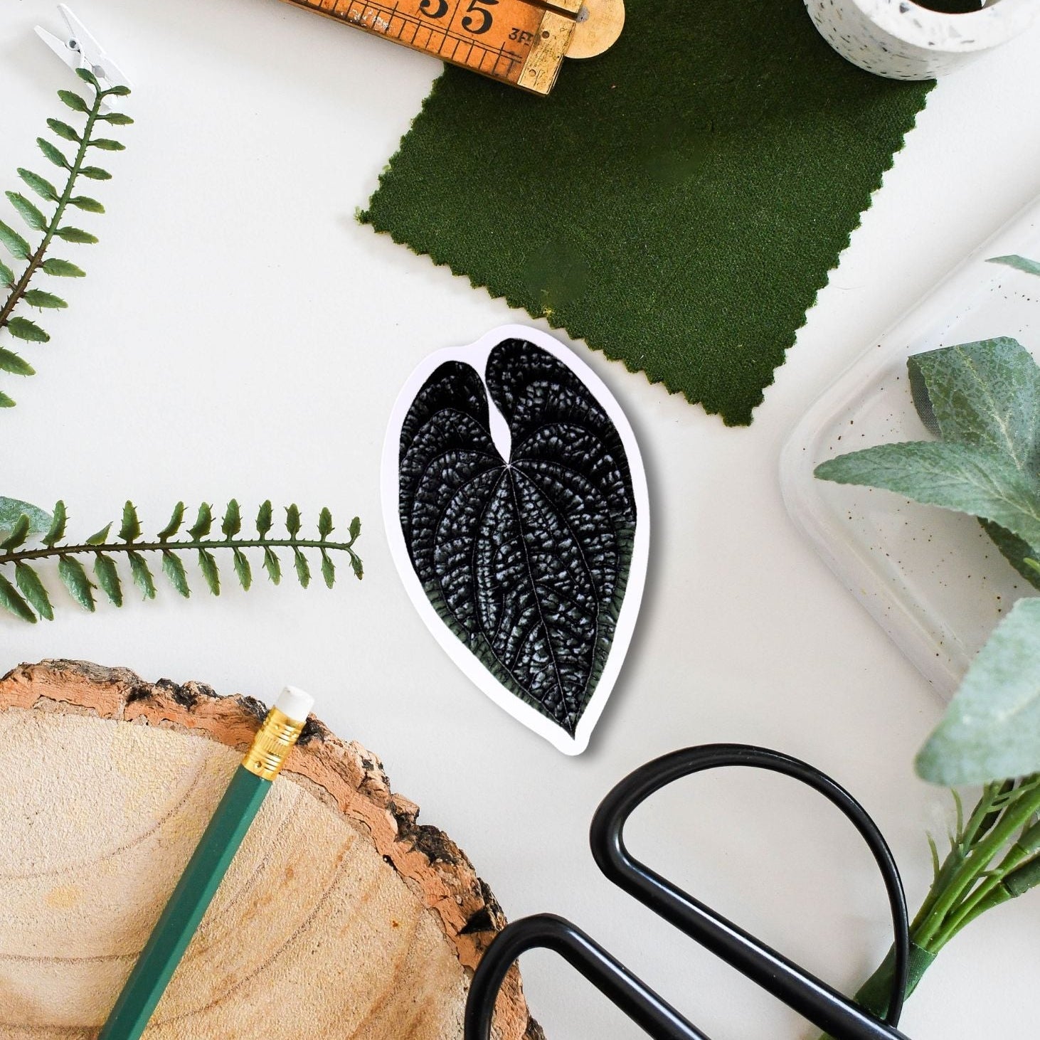 Anthurium luxurians Tropical Houseplant Vinyl Sticker [Beneath the Can – Sprouts of Bristol