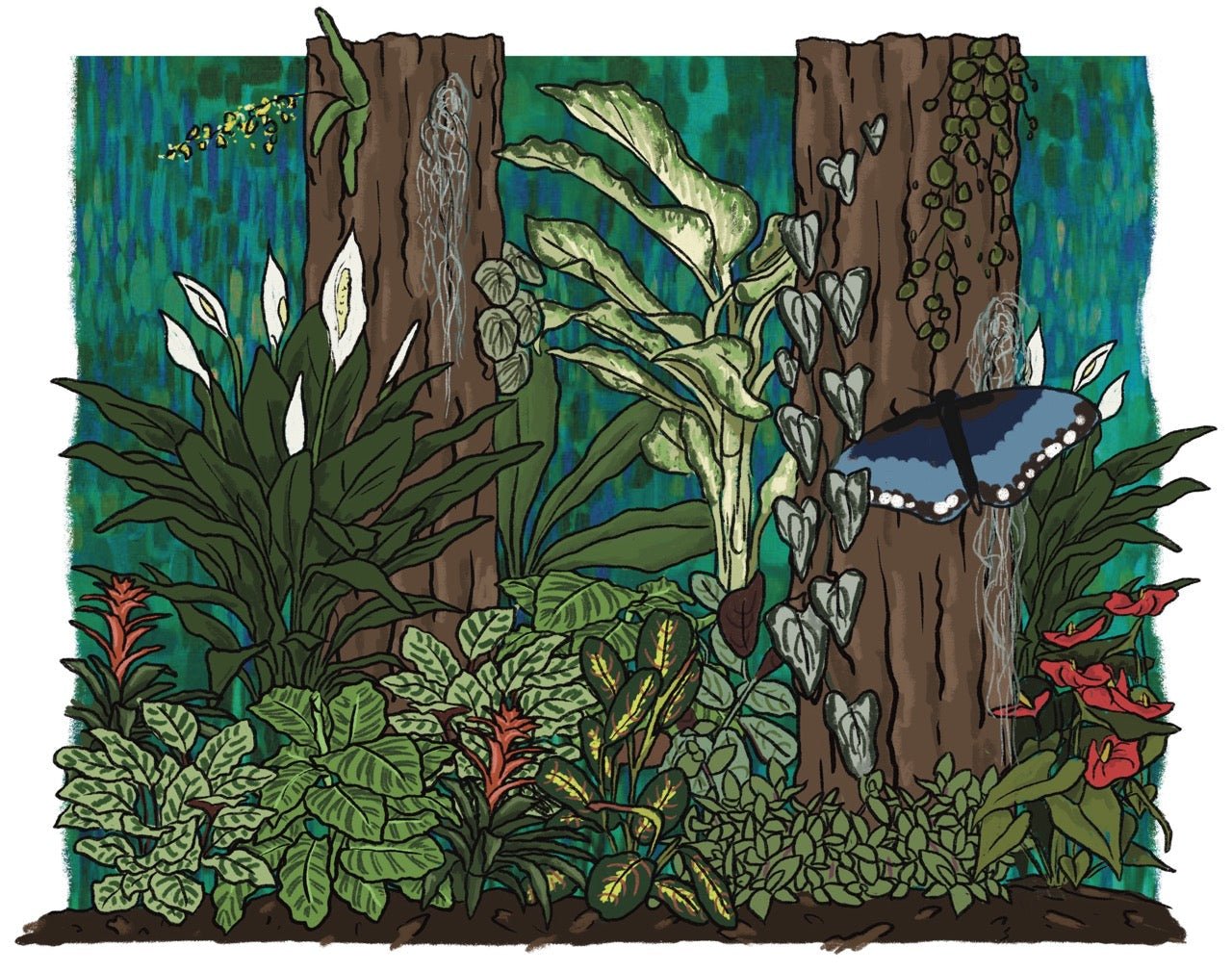 Beneath the Canopy – Our Next Big Adventure at RHS Malvern Spring ...