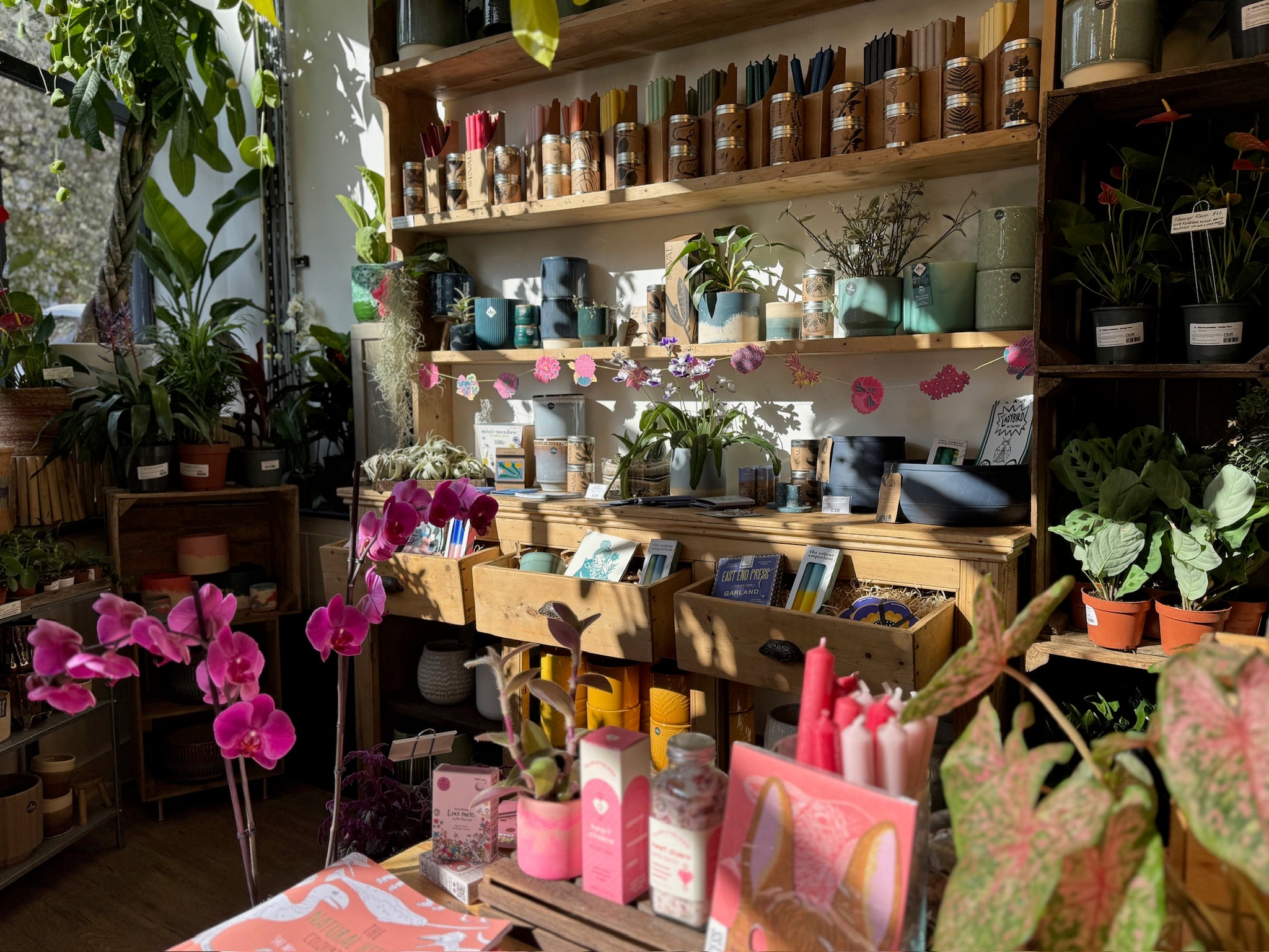 Sale Home & Gifts – Page 7 – Sprouts of Bristol