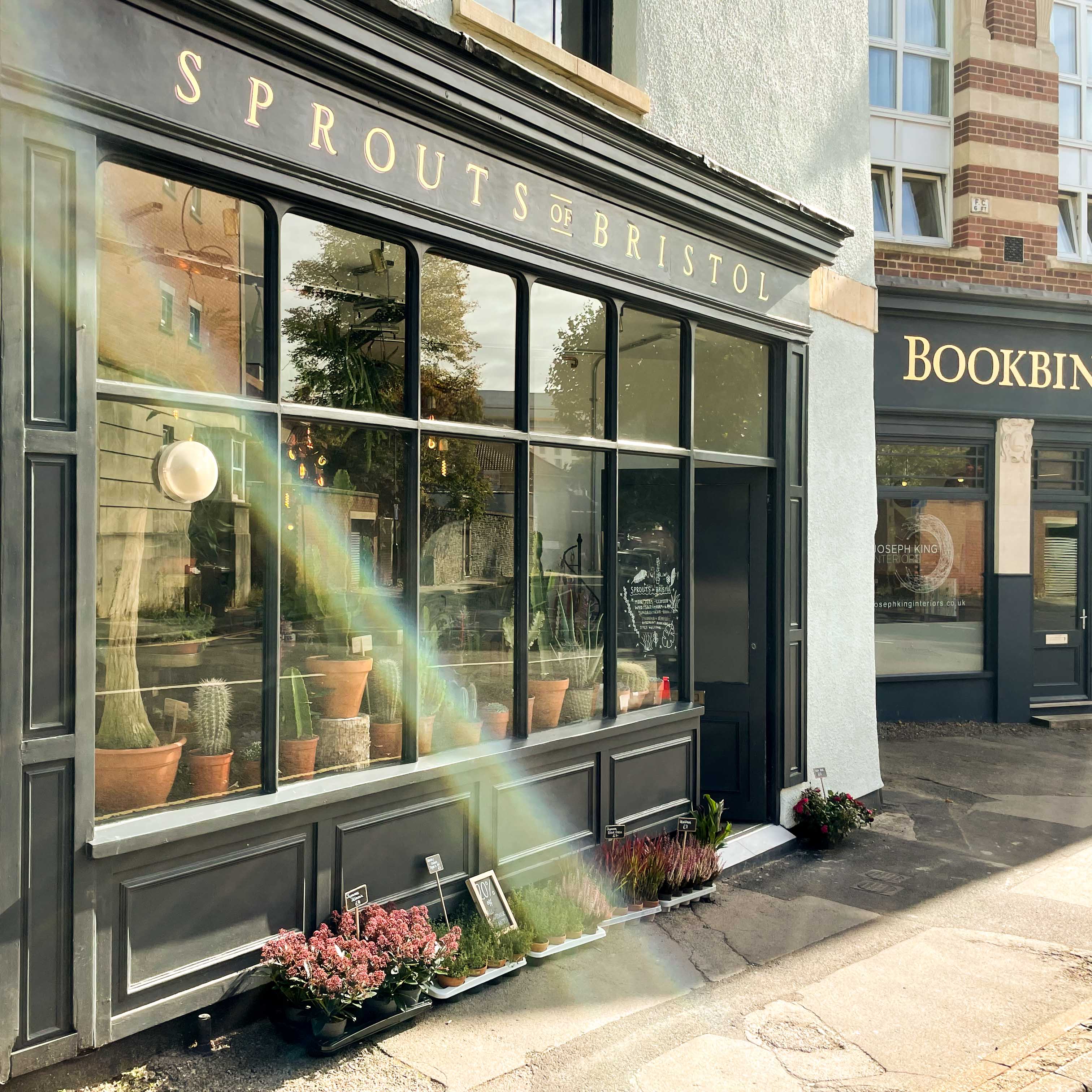 Outdoor Plants – Sprouts of Bristol