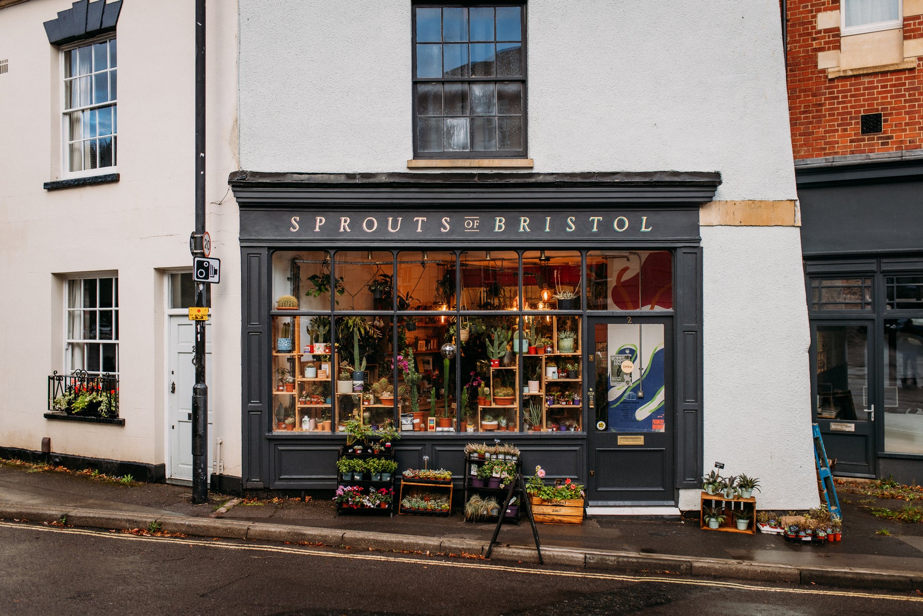 Terrarium & Christmas Wreath Workshops in Bristol | Sprouts of Bristol