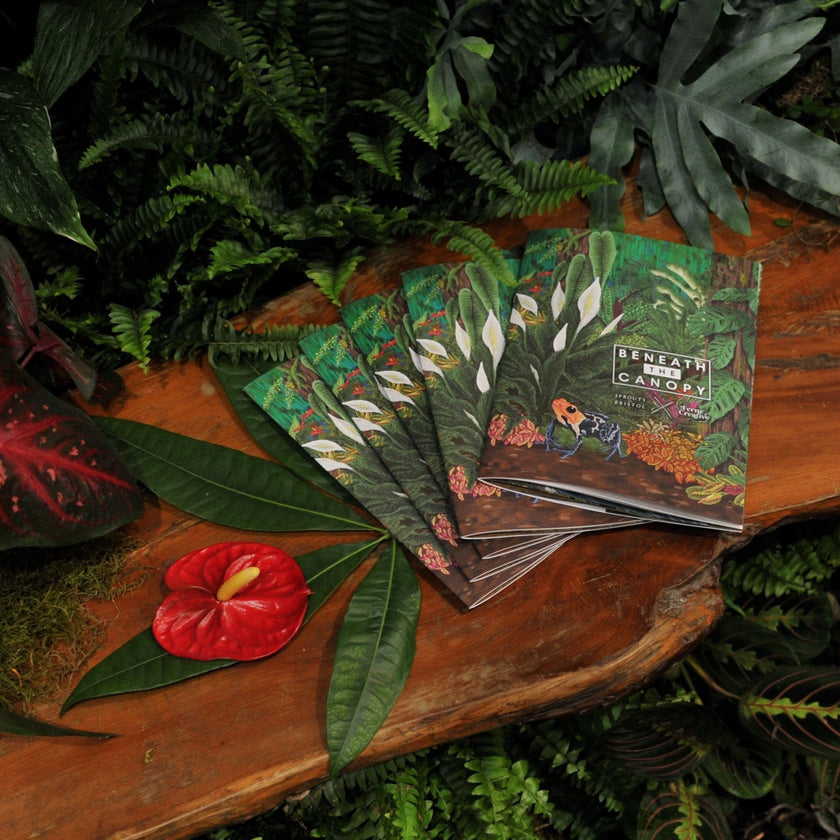 Beneath the Canopy Limited Edition Zine [RHS Malvern Spring Festival 2 ...