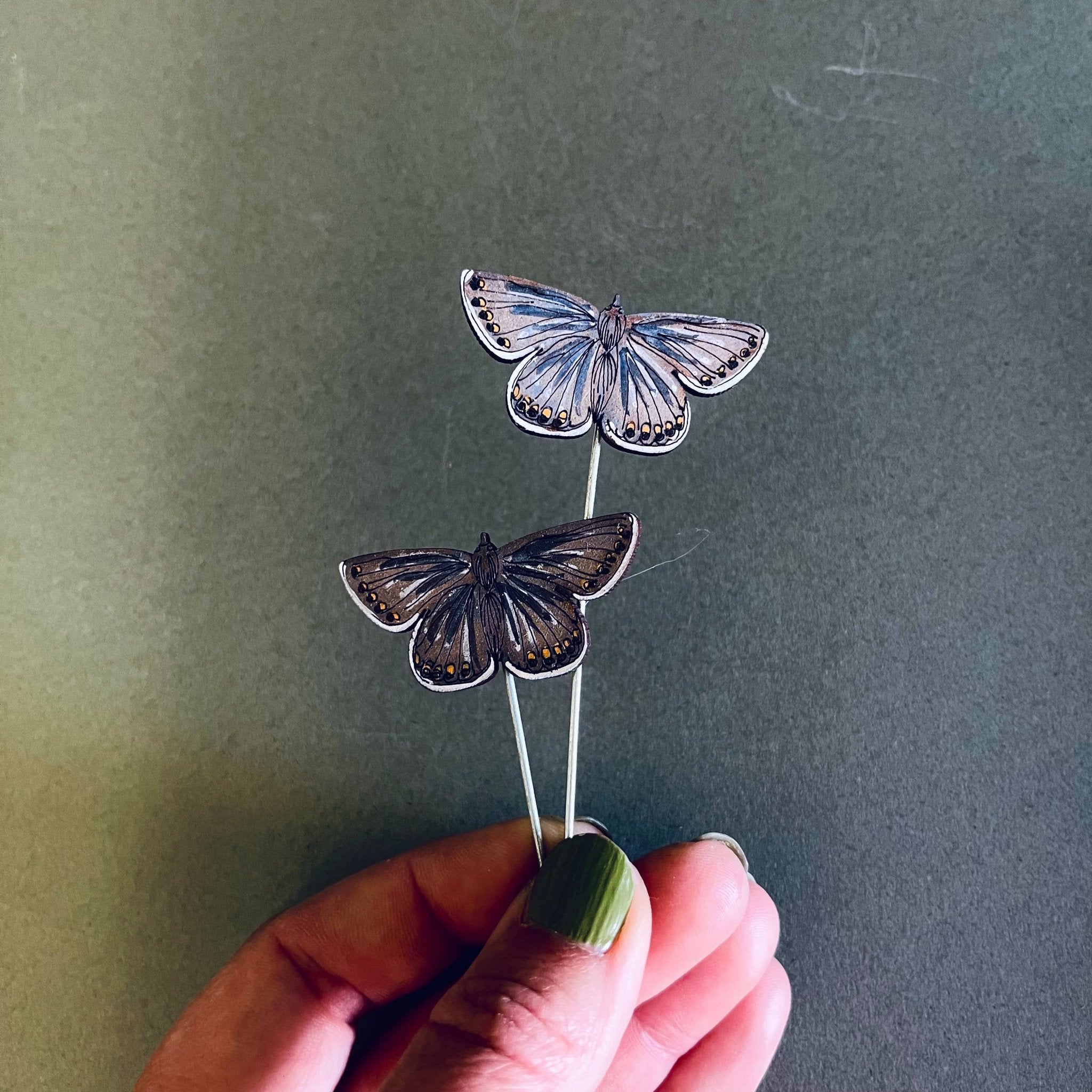 Common Blue Butterfly Plant Pot Companions – Sprouts of Bristol