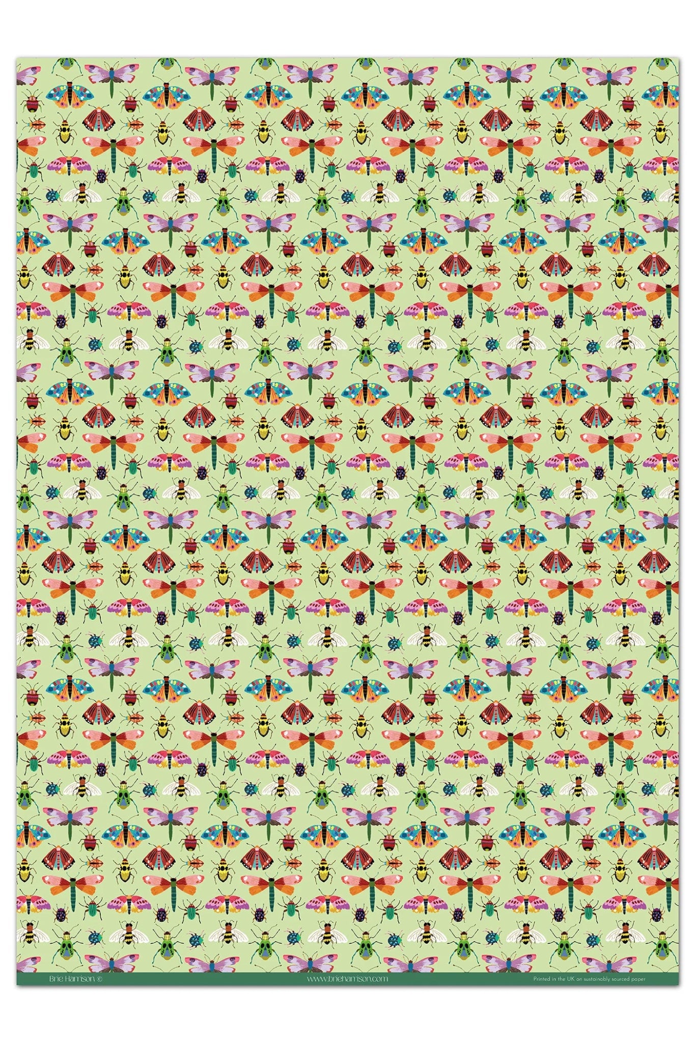 Insects Gift Wrap – Sprouts of Bristol