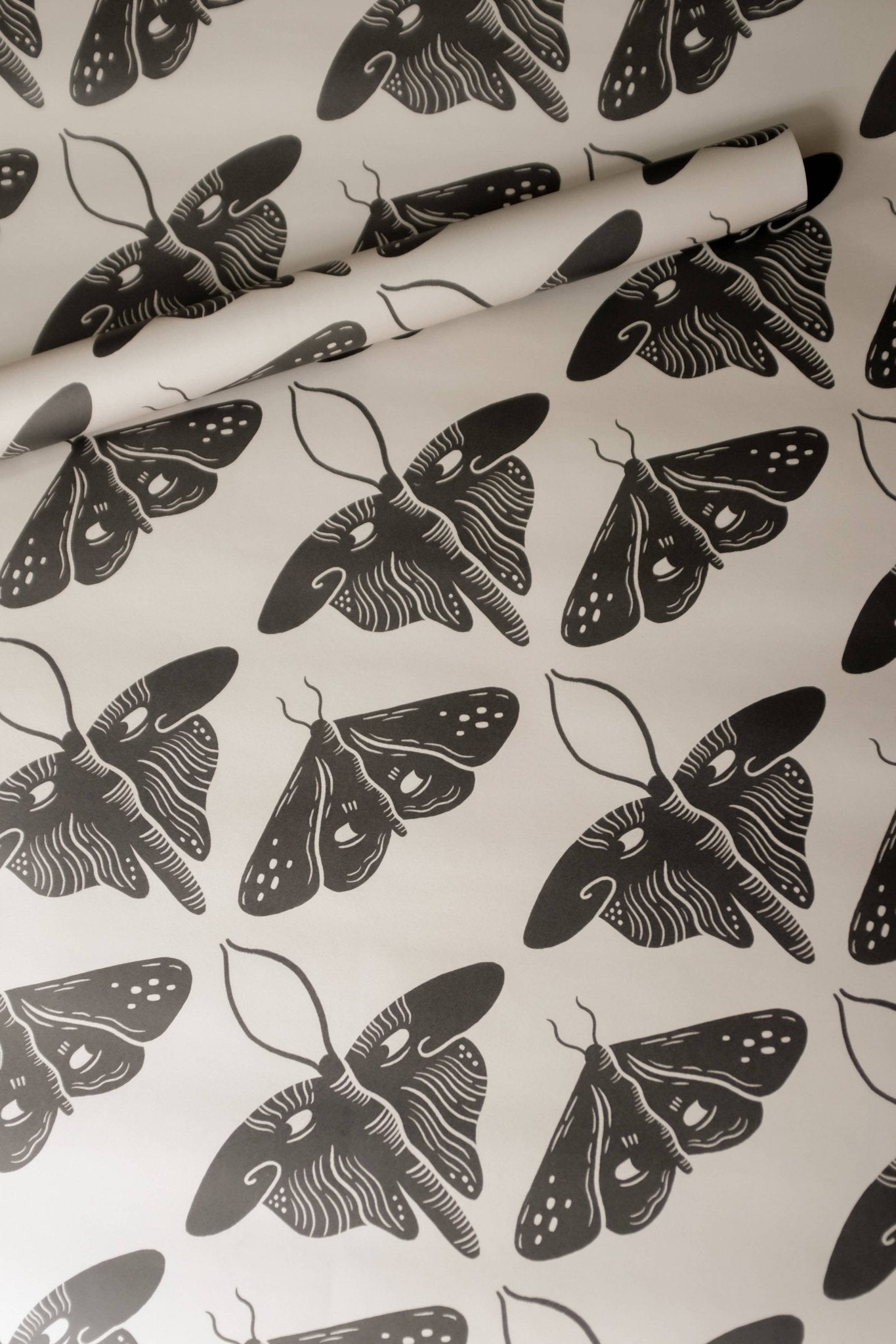'Moth' Nature-Themed Gift Wrap – Sprouts of Bristol