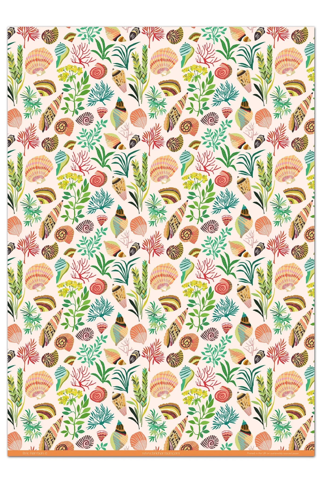 Shells Gift Wrap – Sprouts of Bristol