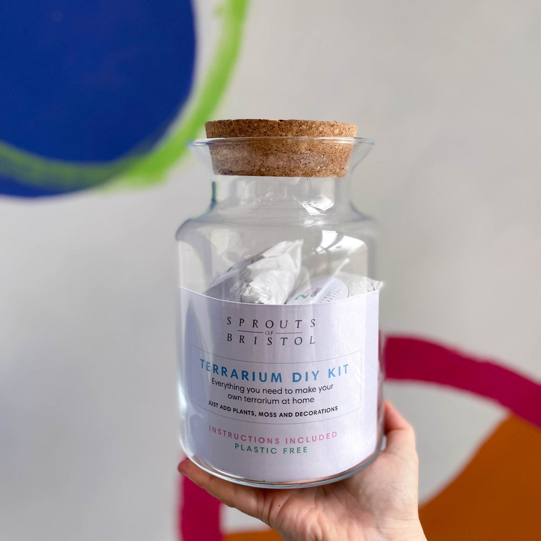 DIY Terrarium Kit - Brenda [Make Your Own Terrarium] Plastic Free Pack ...