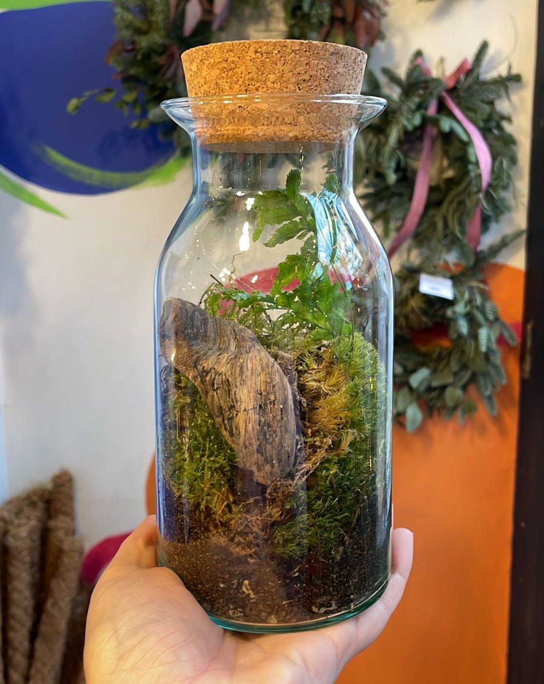 Glass Bottle - Bioactive Terrarium – Sprouts of Bristol