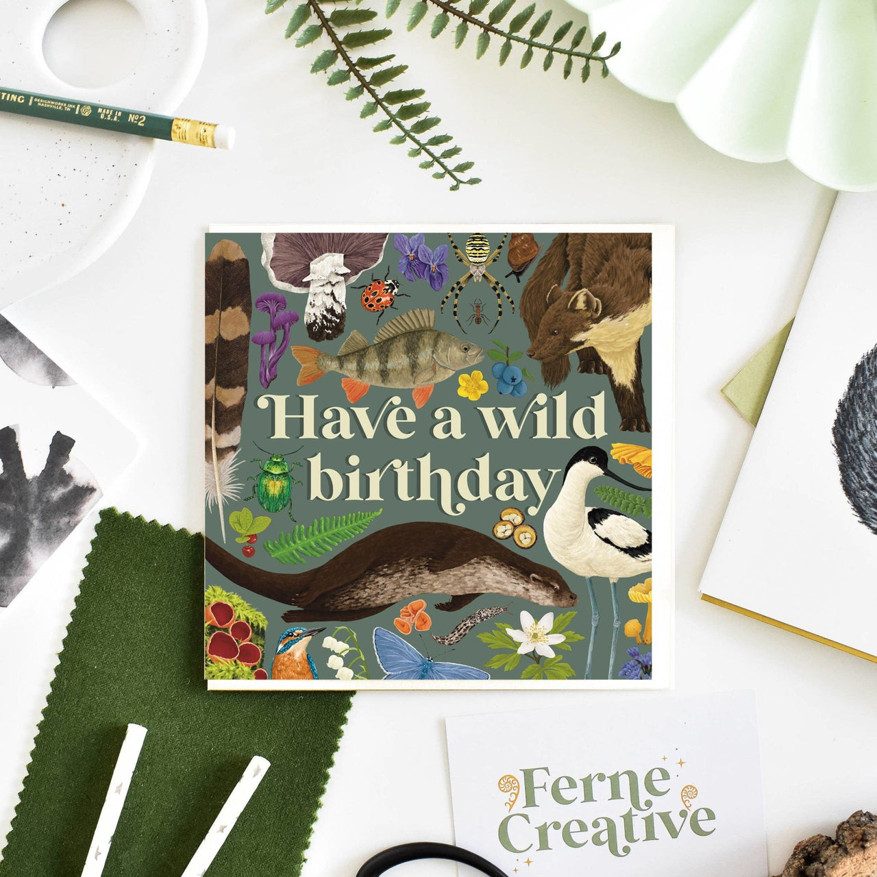 'Have a wild birthday' Greetings Card – Sprouts of Bristol