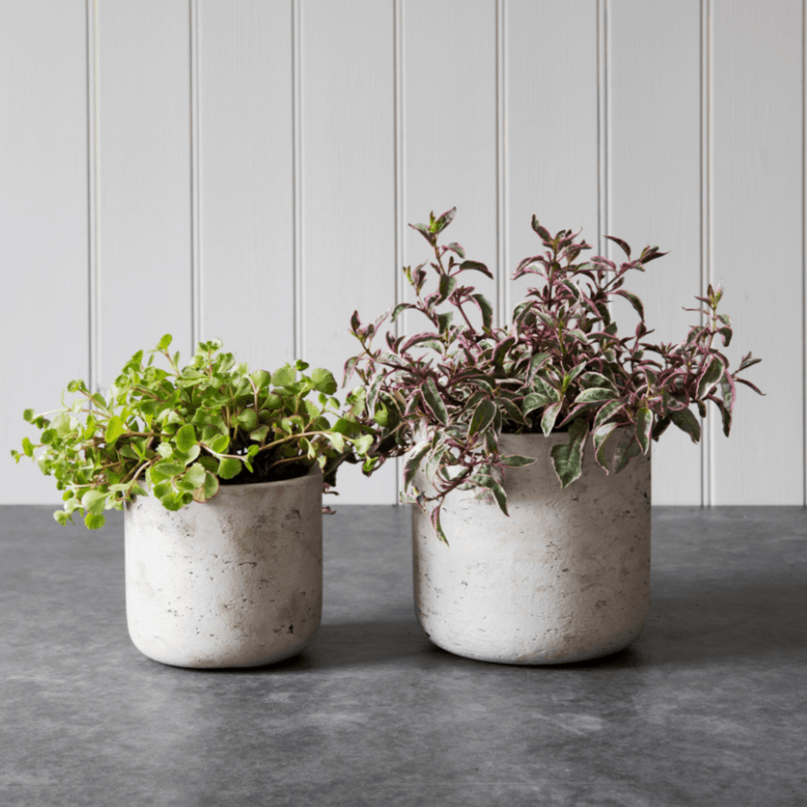 Straight Stratton Pot - Warm Stone – Sprouts of Bristol